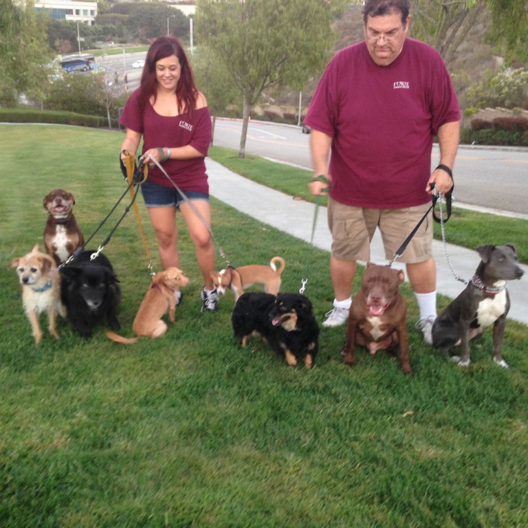 About - Forte Animal Rescue : Forte Animal Rescue