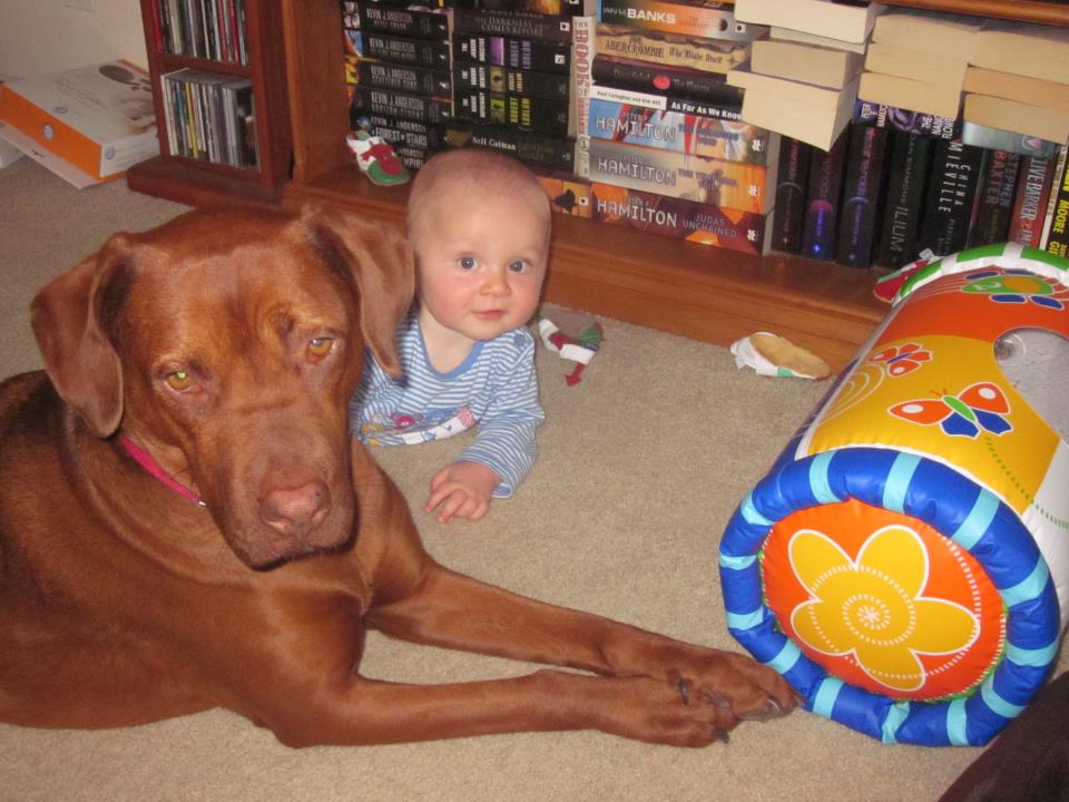 What dogs are meant to us - Forte Animal Rescue : Forte Animal Rescue