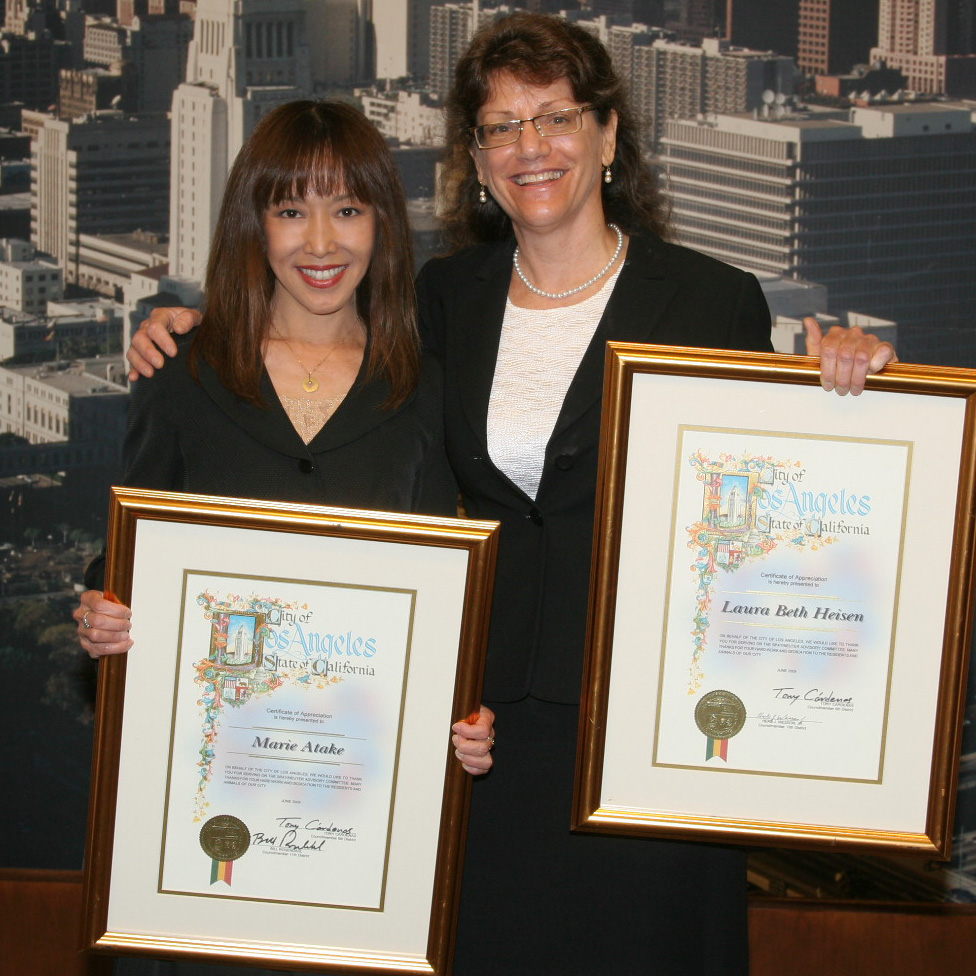 Animal control’s temperament testing - Forte Animal Rescue : Forte ...