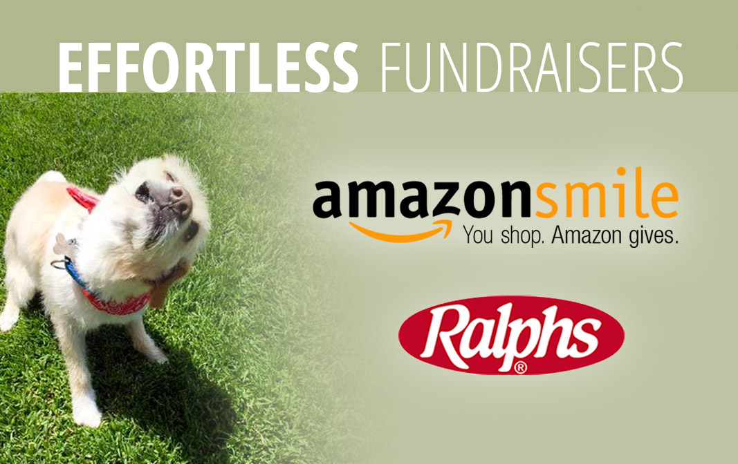 Home - Forte Animal Rescue : Forte Animal Rescue