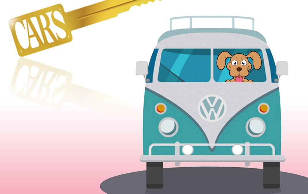 Adopt - Forte Animal Rescue : Forte Animal Rescue