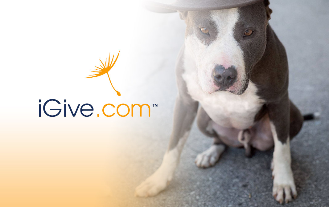 Adopt - Forte Animal Rescue : Forte Animal Rescue