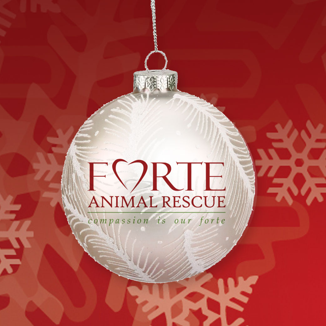 Special Holiday Adoption Event - Saturday Dec 7th - Forte Animal Rescue ...