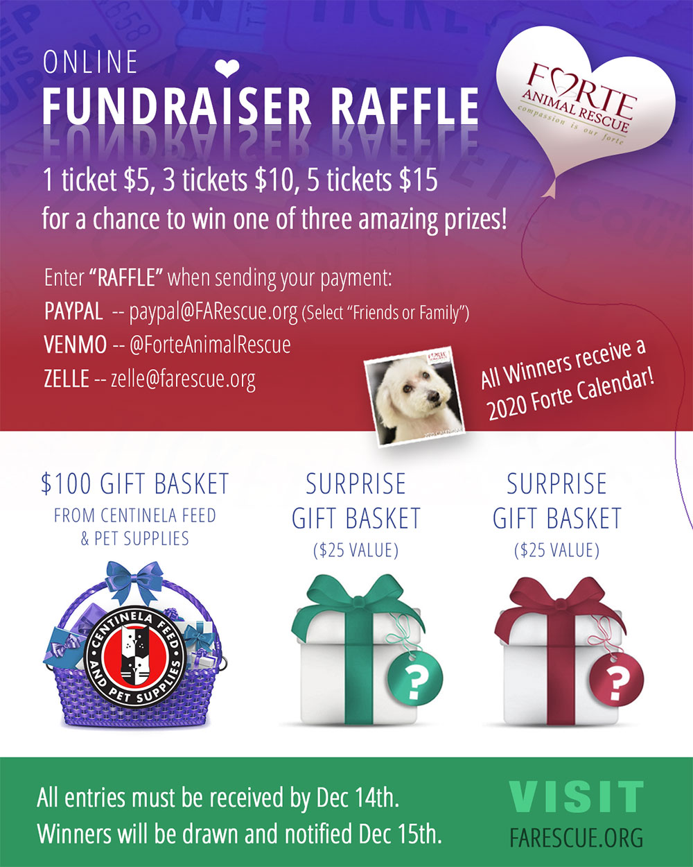Online Fundraiser Raffle - Forte Animal Rescue : Forte Animal Rescue