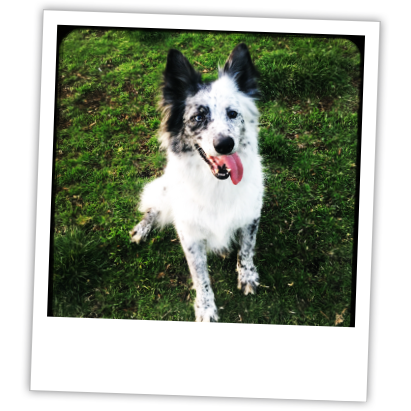 Enter & Vote Now: Forte’s Annual Photo & Calendar Contest - Forte ...