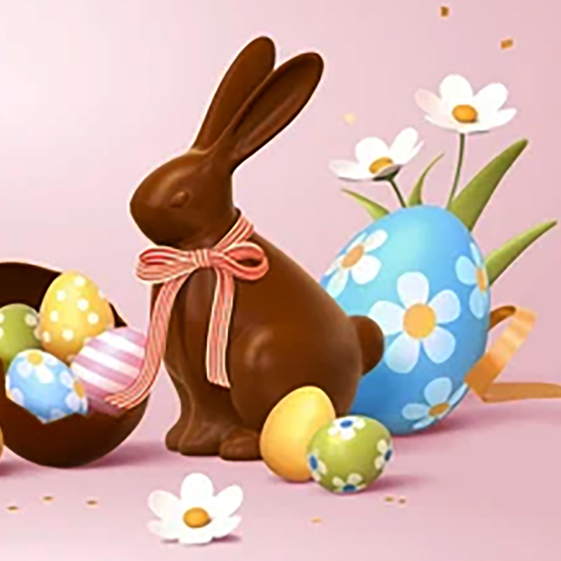 Home - Forte Animal Rescue : Forte Animal Rescue