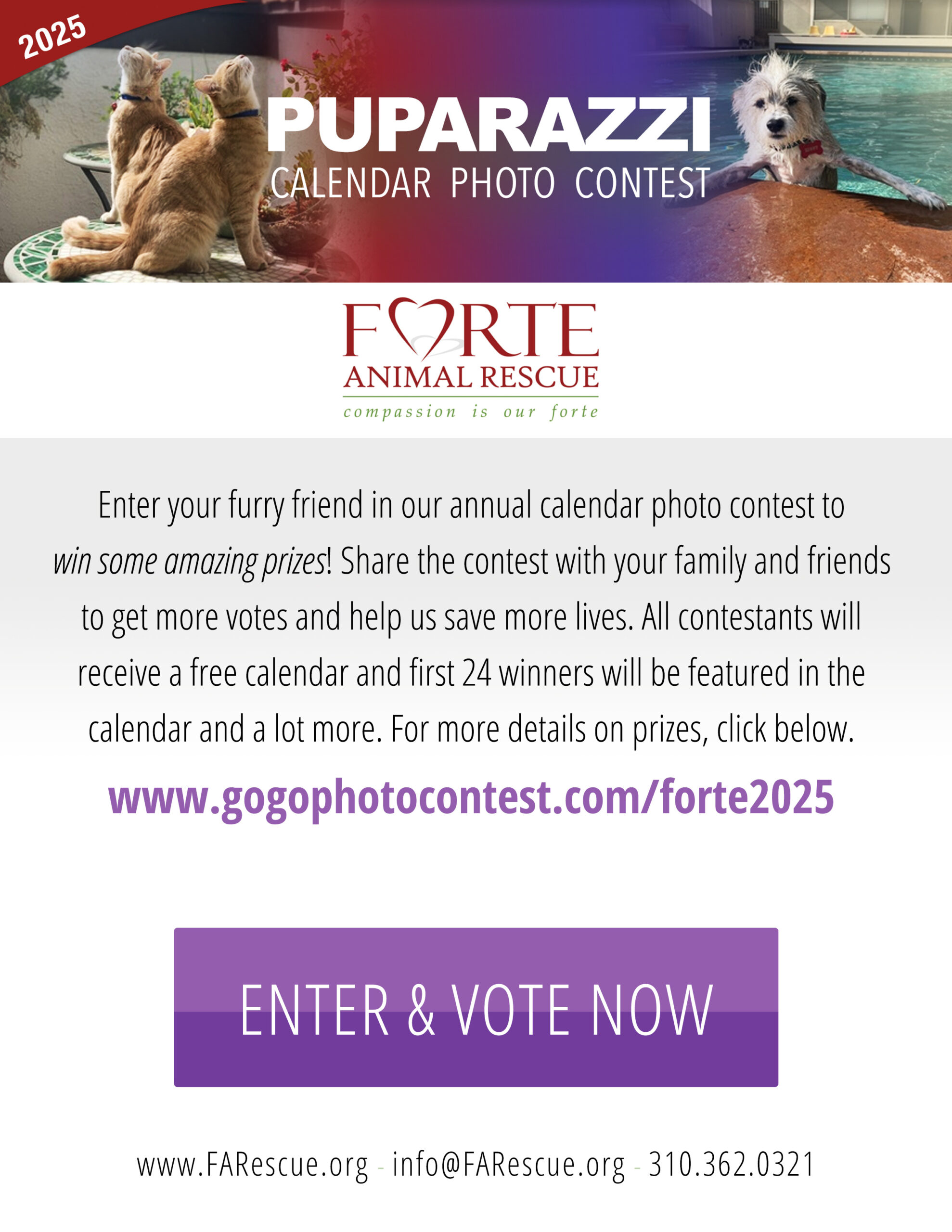 Enter & Vote Now: Forte’s Annual Photo & Calendar Contest - Forte ...